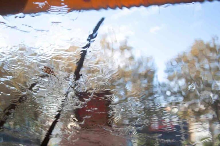 8 Ways To Remove Water Spots From A Car Windshield - Four Wheel Trends