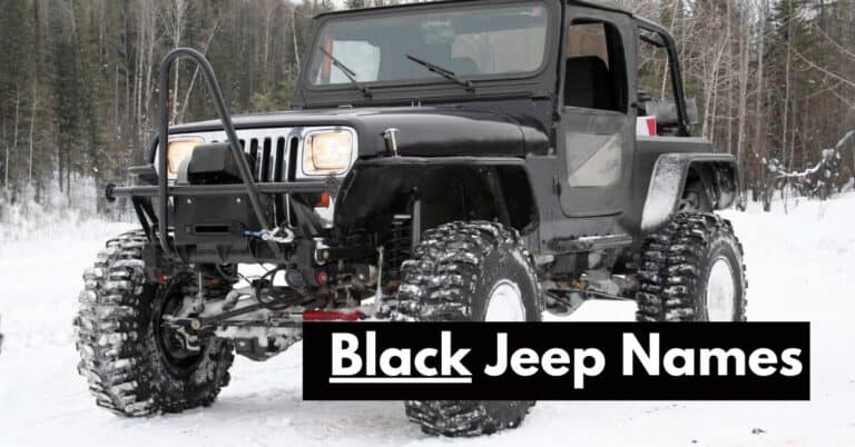 788 Jeep Names: Find The Perfect Name For Your Vehicle! - Four Wheel Trends