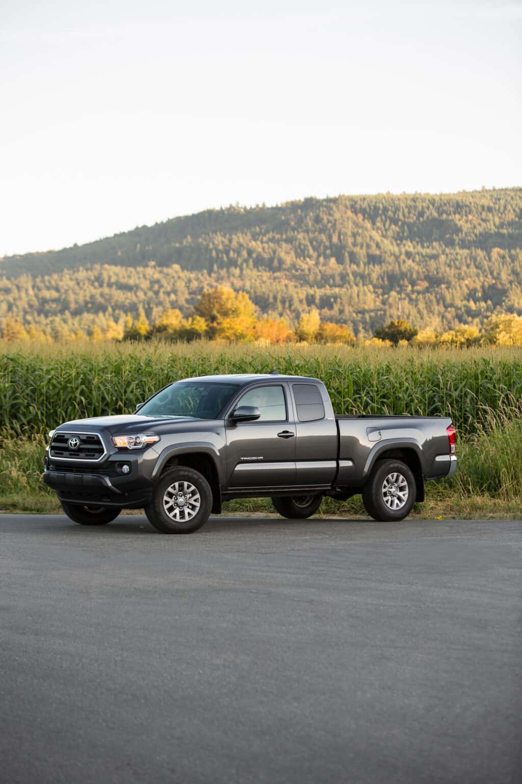 5 Best Used Pickup Trucks to Buy (2024 Top Picks) - Four Wheel Trends